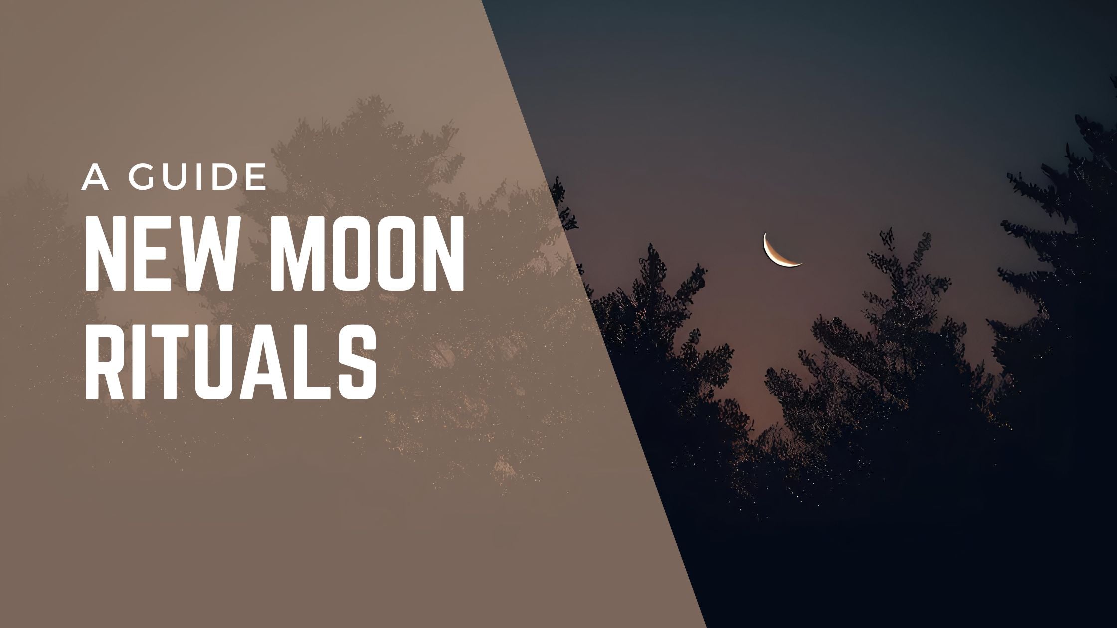 New Moon Rituals: A Time to Reset and Manifest – Nytarra Naturals
