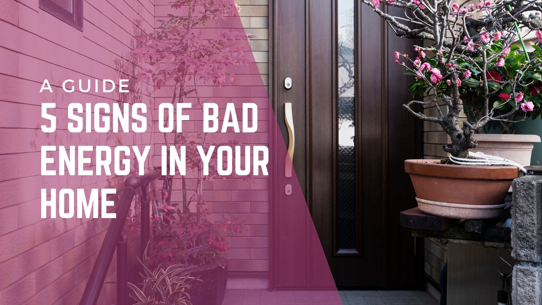 5 Signs of Bad Energy in Your Home (And How to Clear It) – Nytarra Naturals