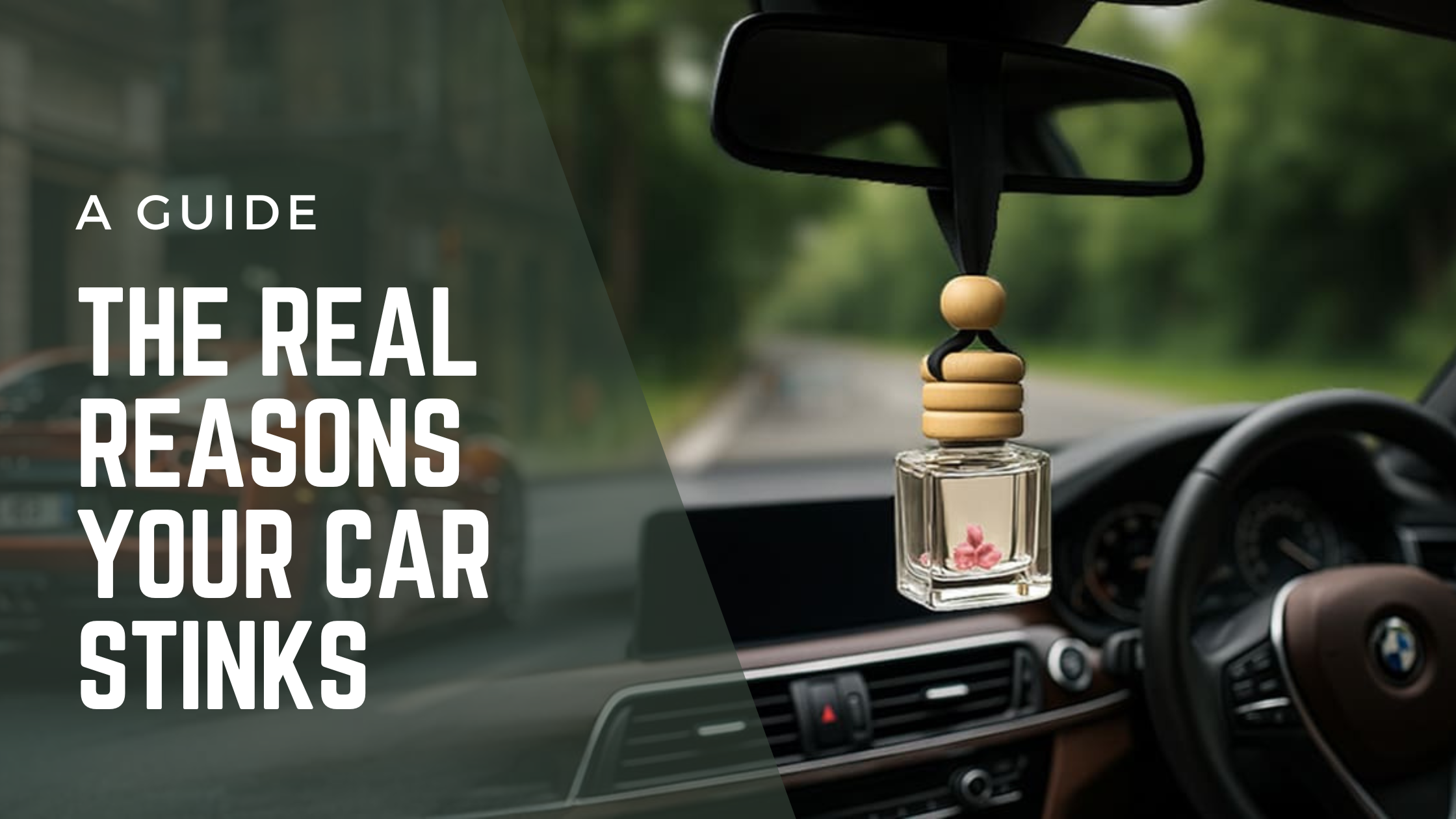 How to Get Rid of Bad Car Smells | Natural Car Freshener Guide ...