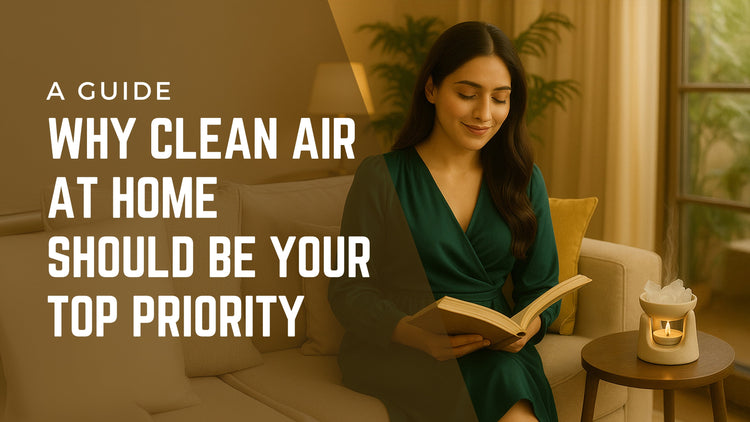 Why Clean Air at Home Should Be Your Top Priority in 2025 – Nytarra ...