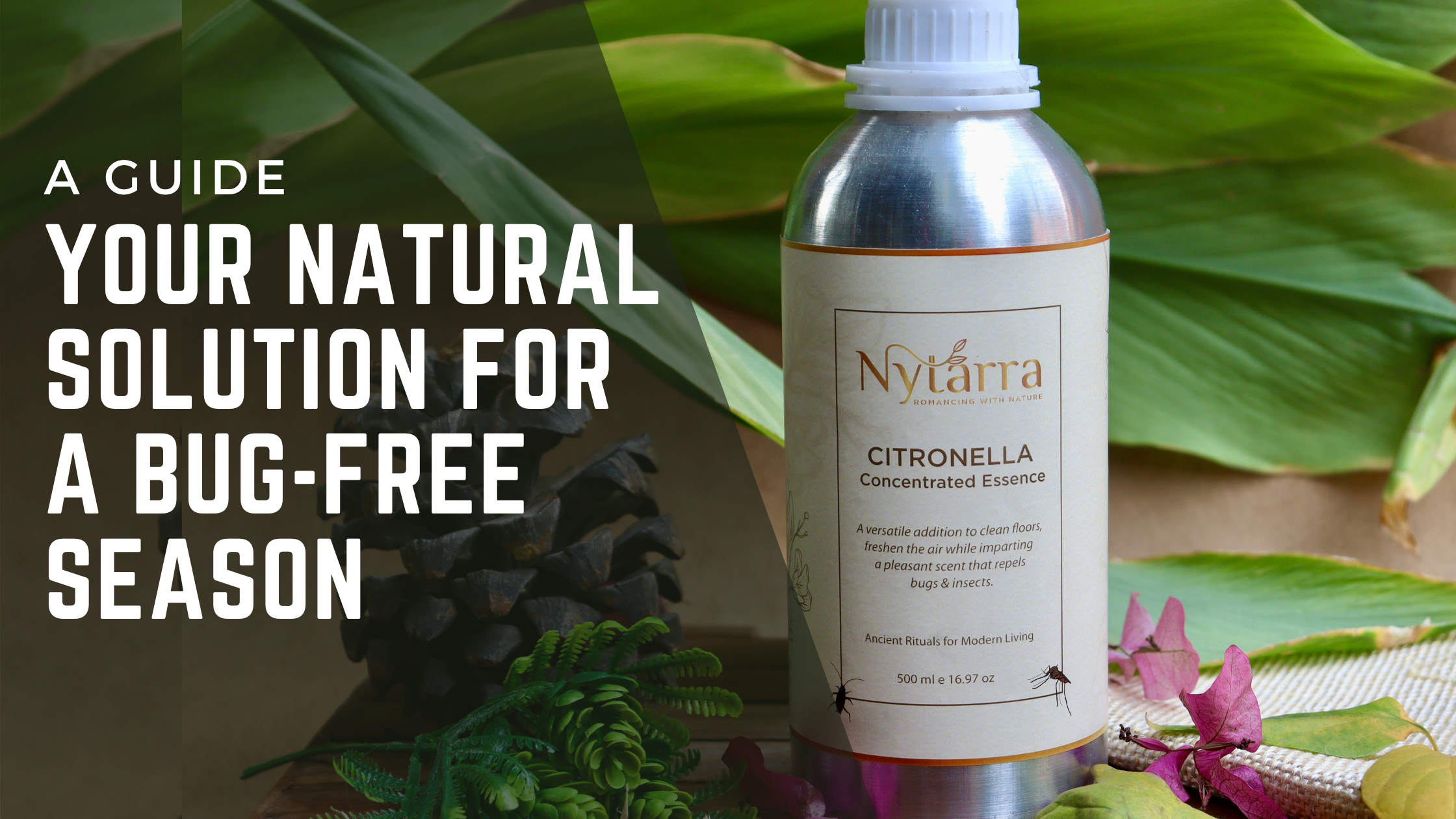 Citronella Essence: Your Natural Solution for a Bug-Free Season ...