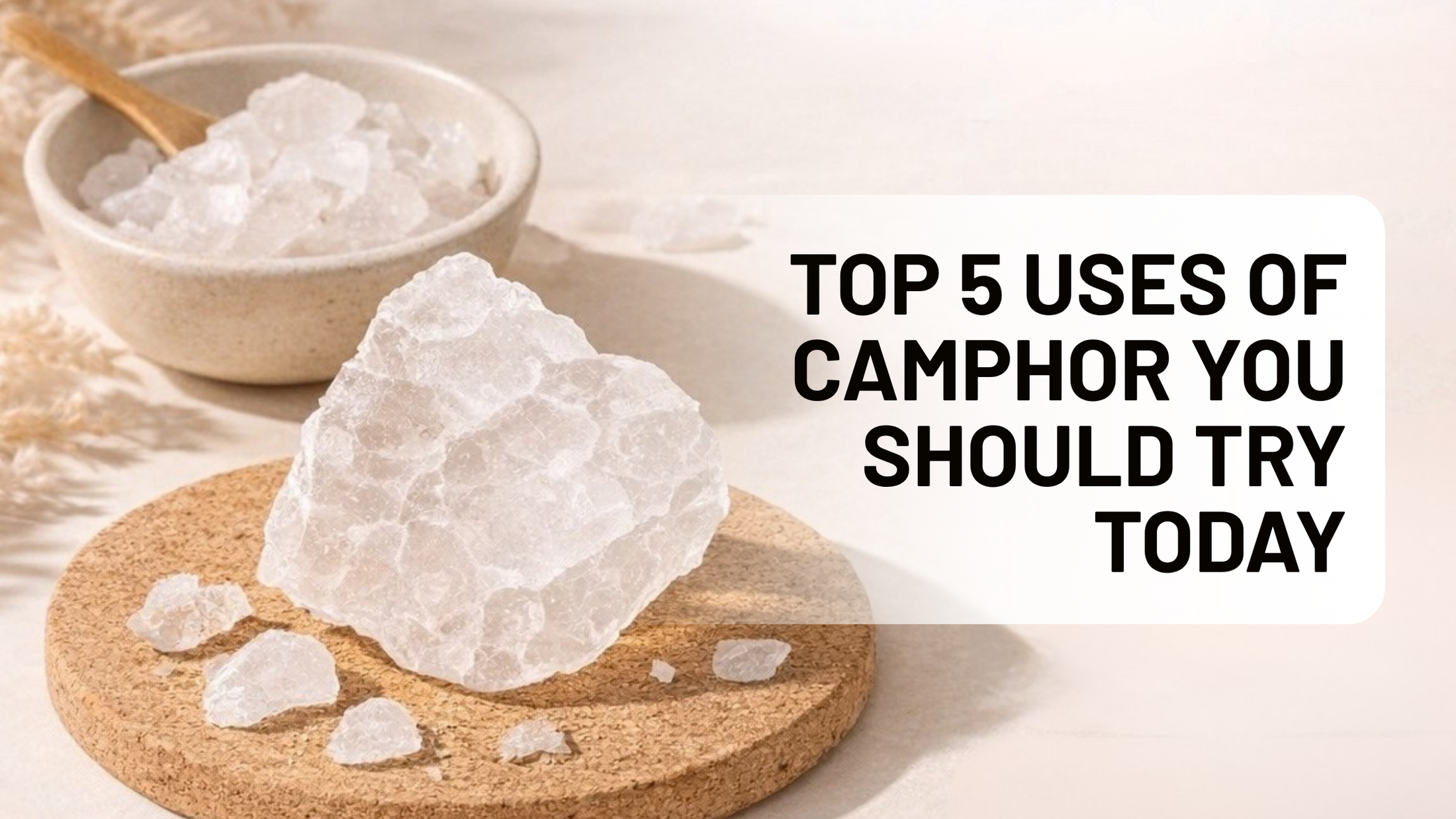 5 Surprising Uses of Pure Camphor You’ll Wish You Knew Sooner – Nytarra ...